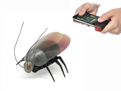 Iti plac insectele? Iata una pe care o poti controla folsosind un ...