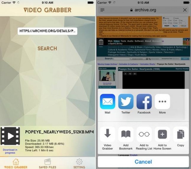 Video Grabber – aplicatia din App Store care descarca aproape orice ...
