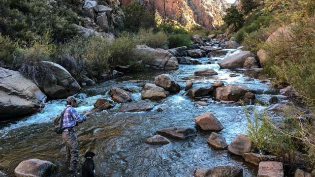 iPhone 7 Plus – noi poze confirma calitatea camerei duale | iDevice.ro