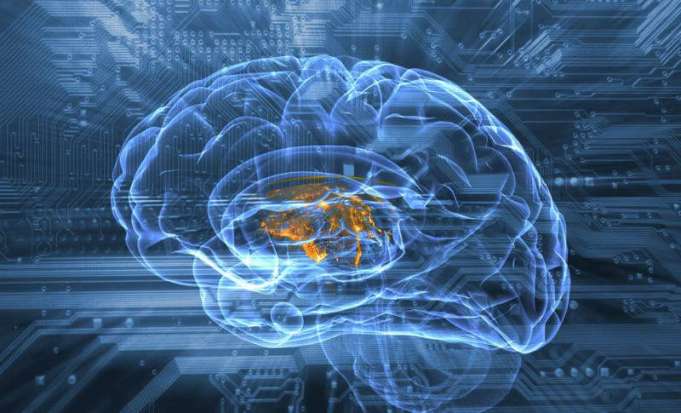 CREIERUL UMAN. DESCOPERIRE UIMITOARE A CERCETATORILOR | iDevice.ro